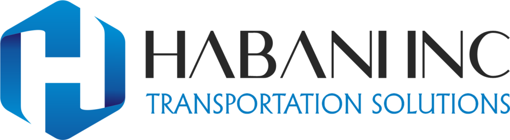 HABANI INC – TRANSPORTATION SOLUTIONS